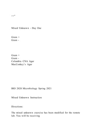 Mixed Unknown Identification FormUnknown Patient Specimen” Iden | PDF