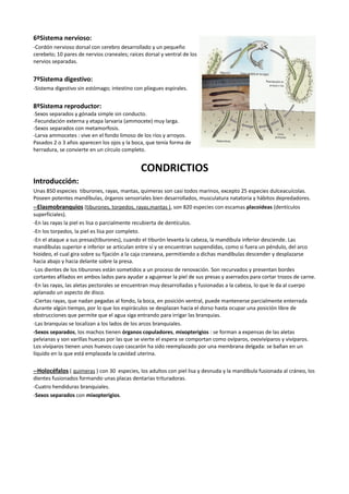 Mixines, cefalaspidomorfos y condrictios | PDF