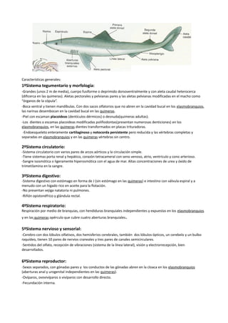 Mixines, cefalaspidomorfos y condrictios | PDF
