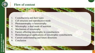 mixotrophy in cyanobacteria: a dual nutritional strategy | PPT