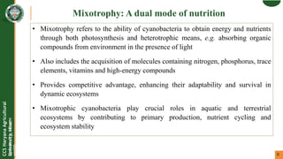 mixotrophy in cyanobacteria: a dual nutritional strategy | PPT