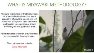Miyawaki methodology | PPTX