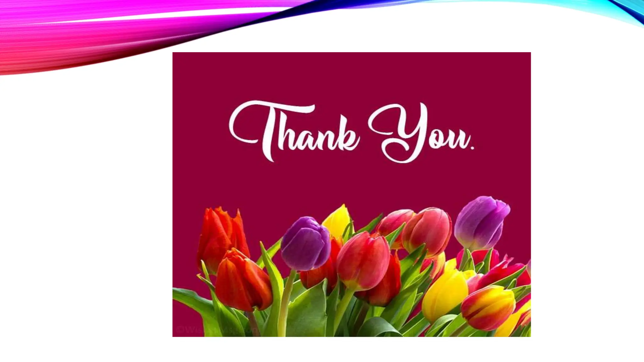 mizel &ruvilyn- action research.pptx