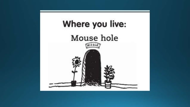 Mizzle the mouse | PPTX