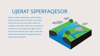 Mjediset e pastra dhe te papastra - Erina Ramadani.pptx