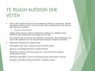 MJEDISI.pptxmjeisimjedisimjedisimjedisii | PPT