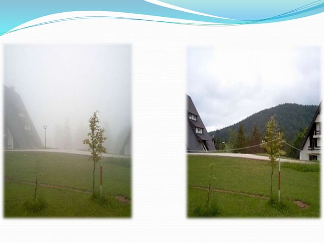 Mjegulla jalldeze krasniqi | PPT