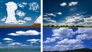 Mjegulla dhe rete roland qerimi | PPTX