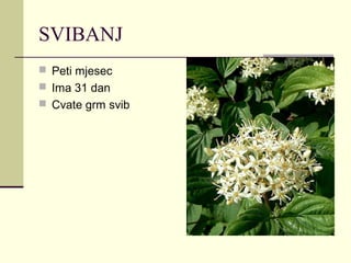 Mjeseci u godini | PPT