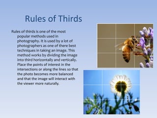 Composing A Picture | PPTX