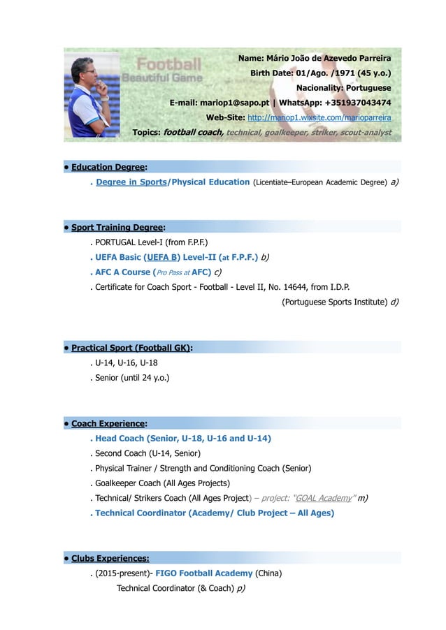 Mjp cv-eng-fev17 | PDF