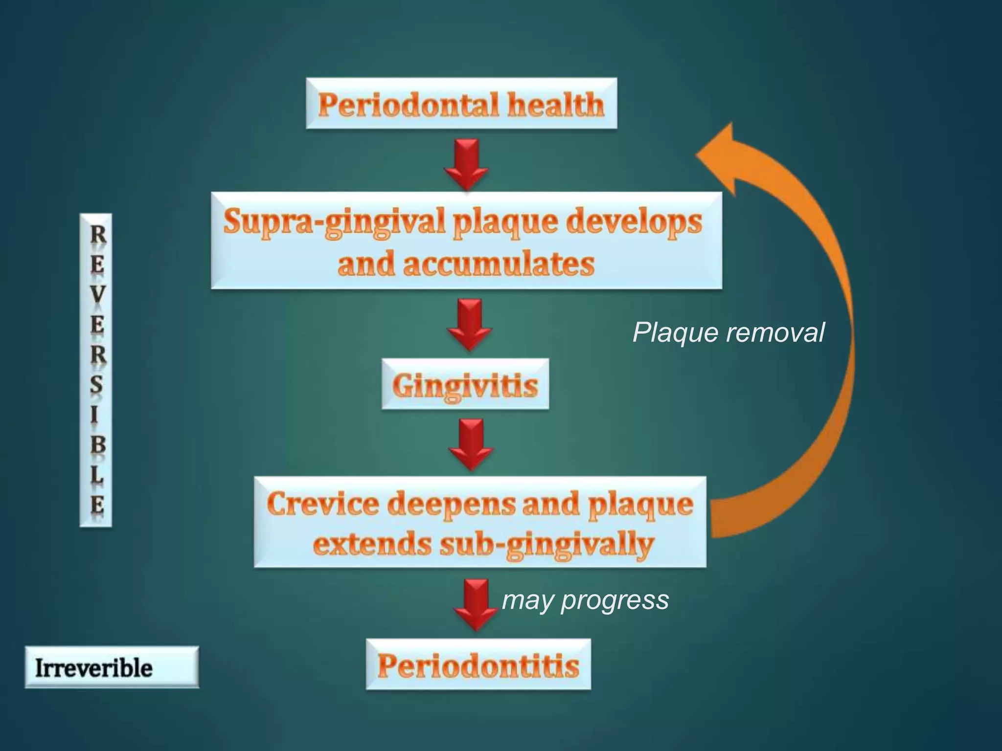 Gingivitis Vs Periodontitis | PPTX