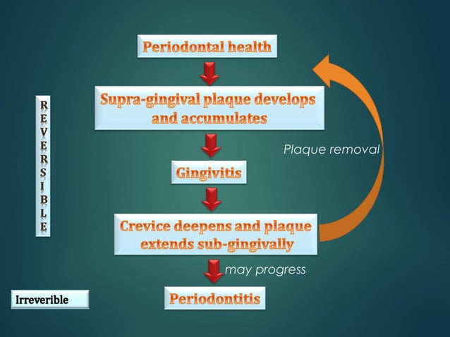 Gingival And Periodontal Diseases Ppt Dental Health Diseases And