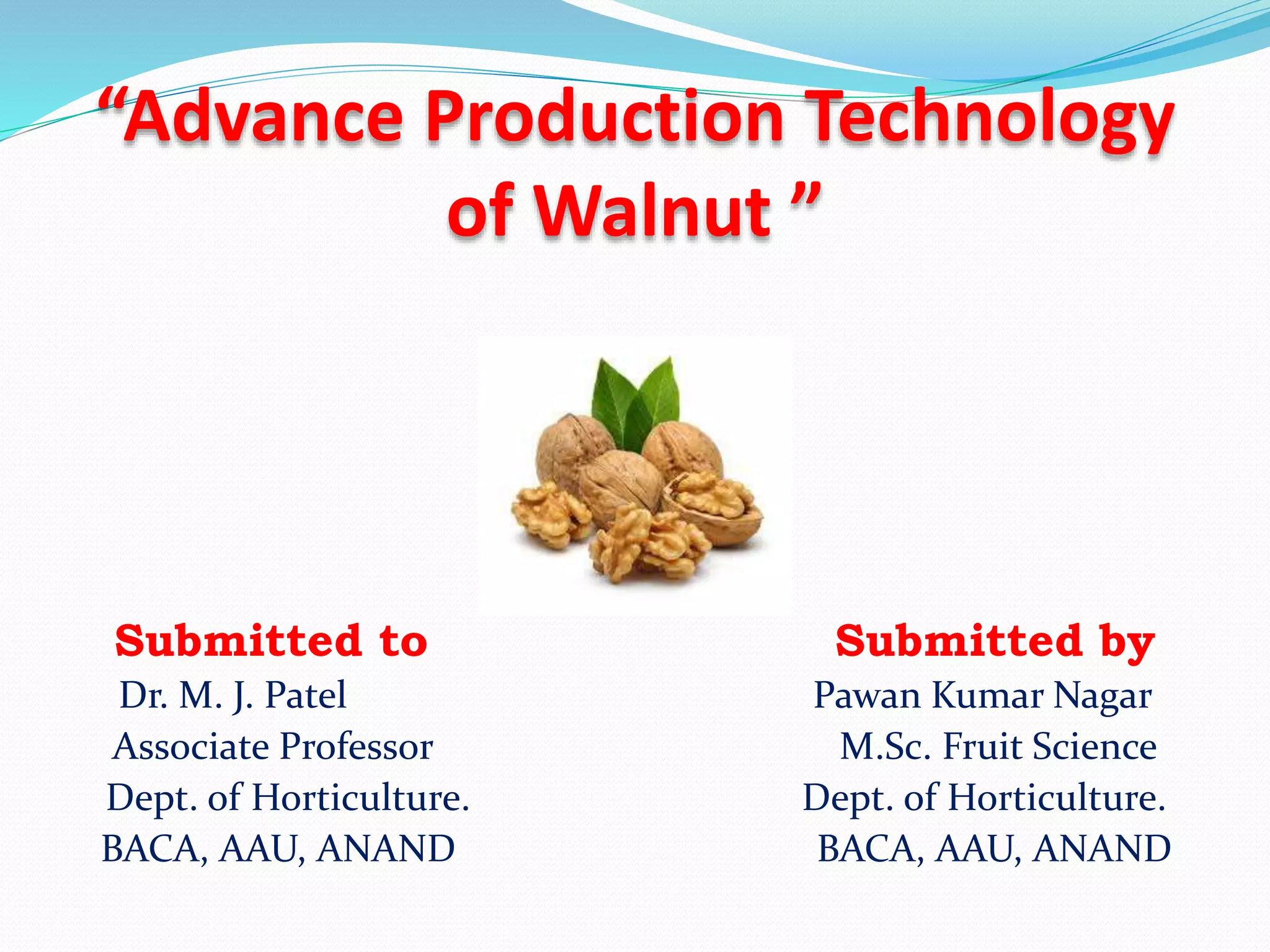 walnut production technology | PPTX