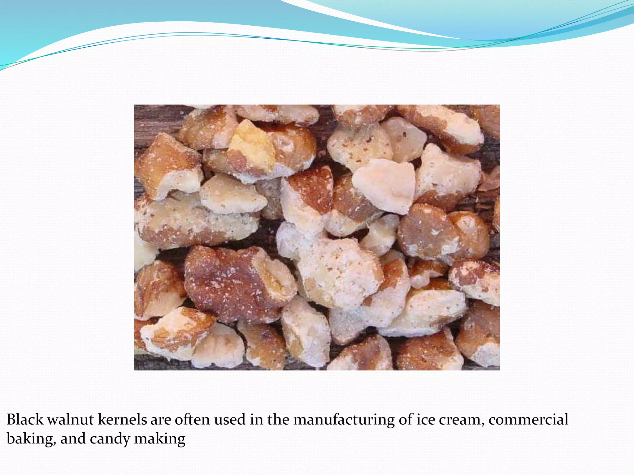 walnut production technology | PPTX