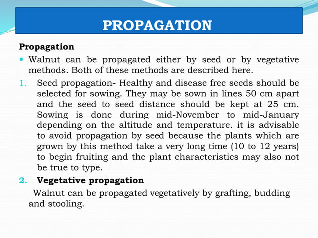 walnut production technology | PPTX | Agriculture | Industries