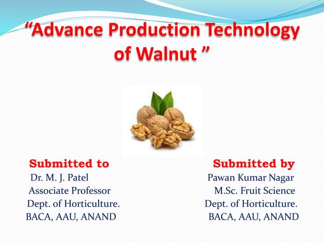 walnut production technology | PPTX | Agriculture | Industries