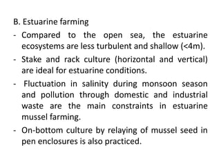 MUSSEL FARMING.pptx