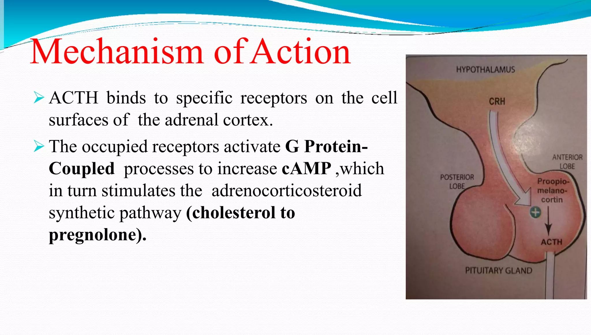 Introduction of hormone & Anterior pituitary drugs | PPTX
