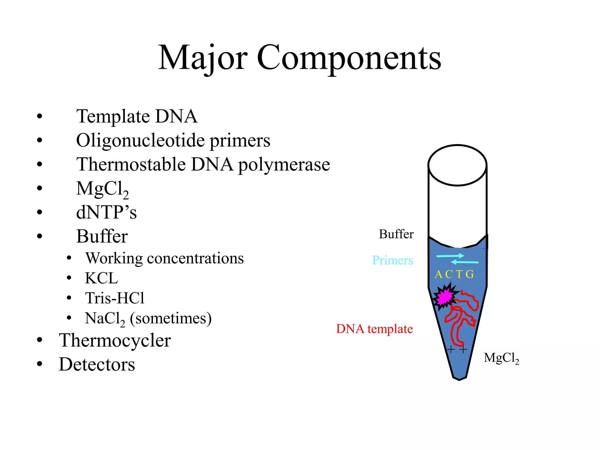 Different Laboratory Equipment used in Toxicology and Molecular Biology ...
