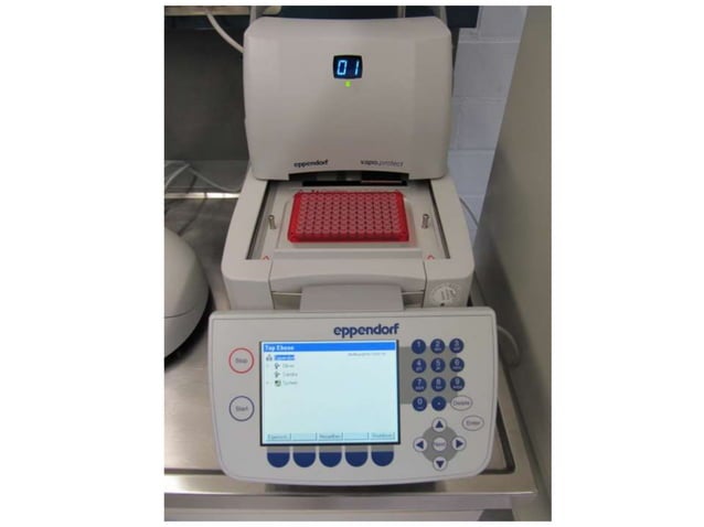 Different Laboratory Equipment used in Toxicology and Molecular Biology ...
