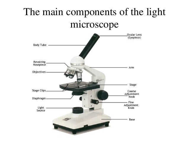 Different Laboratory Equipment used in Toxicology and Molecular Biolo…