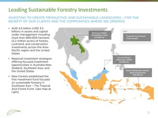 Sustainable forestry investment in Southeast Asia: Catalysing impact ...