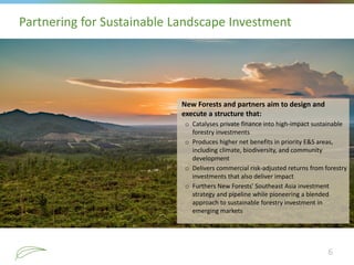 Sustainable forestry investment in Southeast Asia: Catalysing impact ...