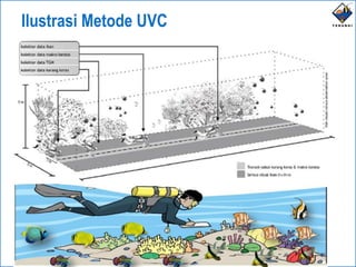 Pemantauan Populasi Ikan Hias | PPT