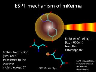 mKeima description | PPTX