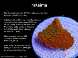 mKeima description | PPTX