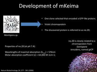 mKeima description | PPTX