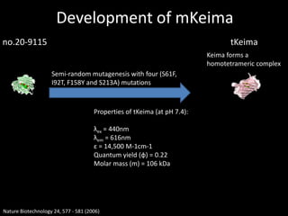 mKeima description | PPTX