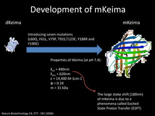 mKeima description | PPTX