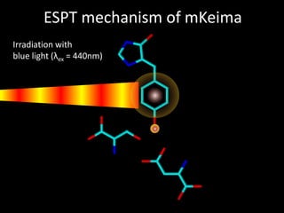 mKeima description | PPTX