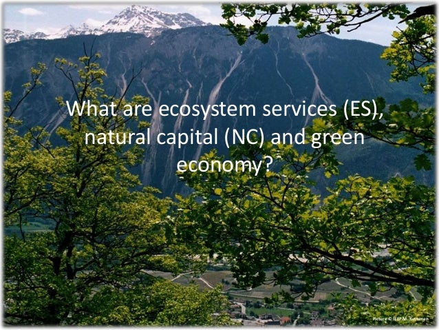 Ecosystem services and natural capital – vthe foundation of a green e…