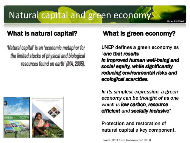 Ecosystem services and natural capital – vthe foundation of a green e…