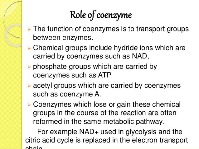 enzyme and coenzym