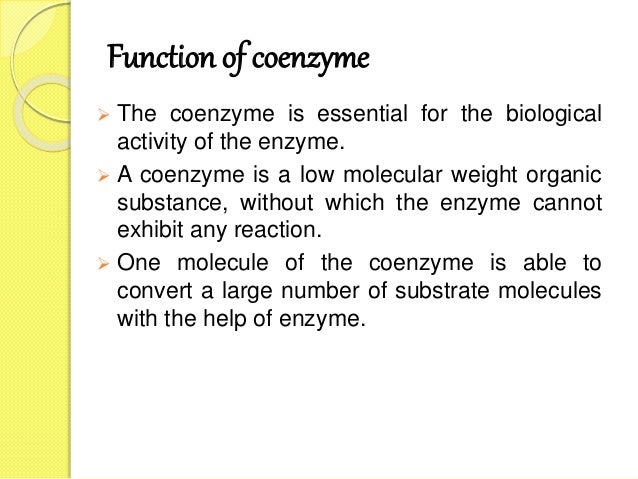 enzyme and coenzym