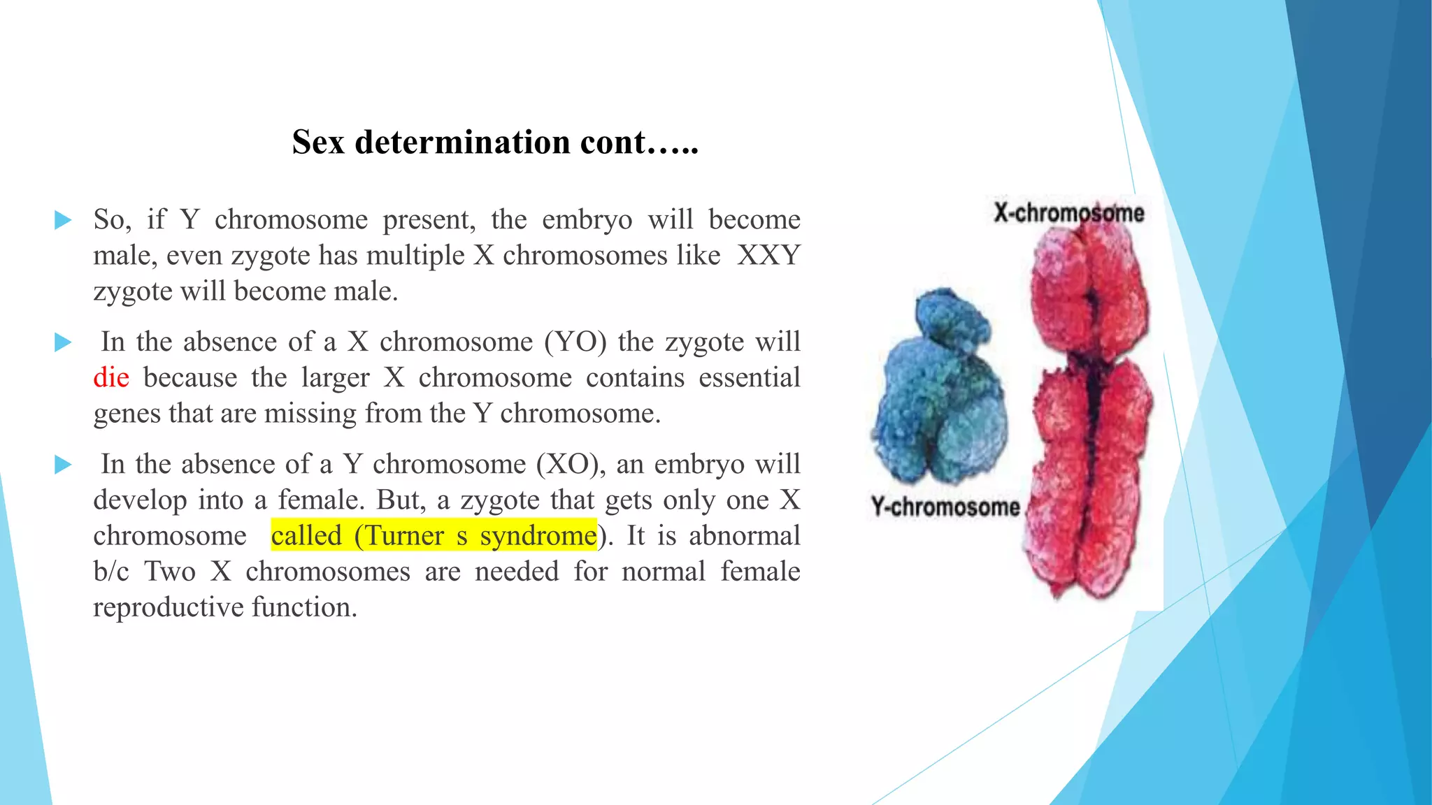 Overview of reproductive physiology and anatomy | PPT