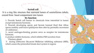 Overview of reproductive physiology and anatomy | PPTX
