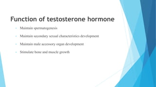Overview of reproductive physiology and anatomy | PPT