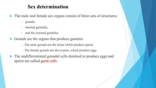 Overview of reproductive physiology and anatomy | PPT