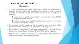 Overview of reproductive physiology and anatomy | PPT