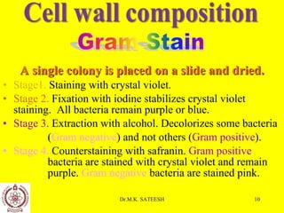 Mks chemotaxonomy | PPT