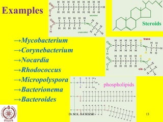 Mks chemotaxonomy | PPT