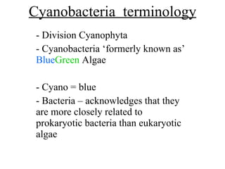 Mks cyanobacteria | PPT