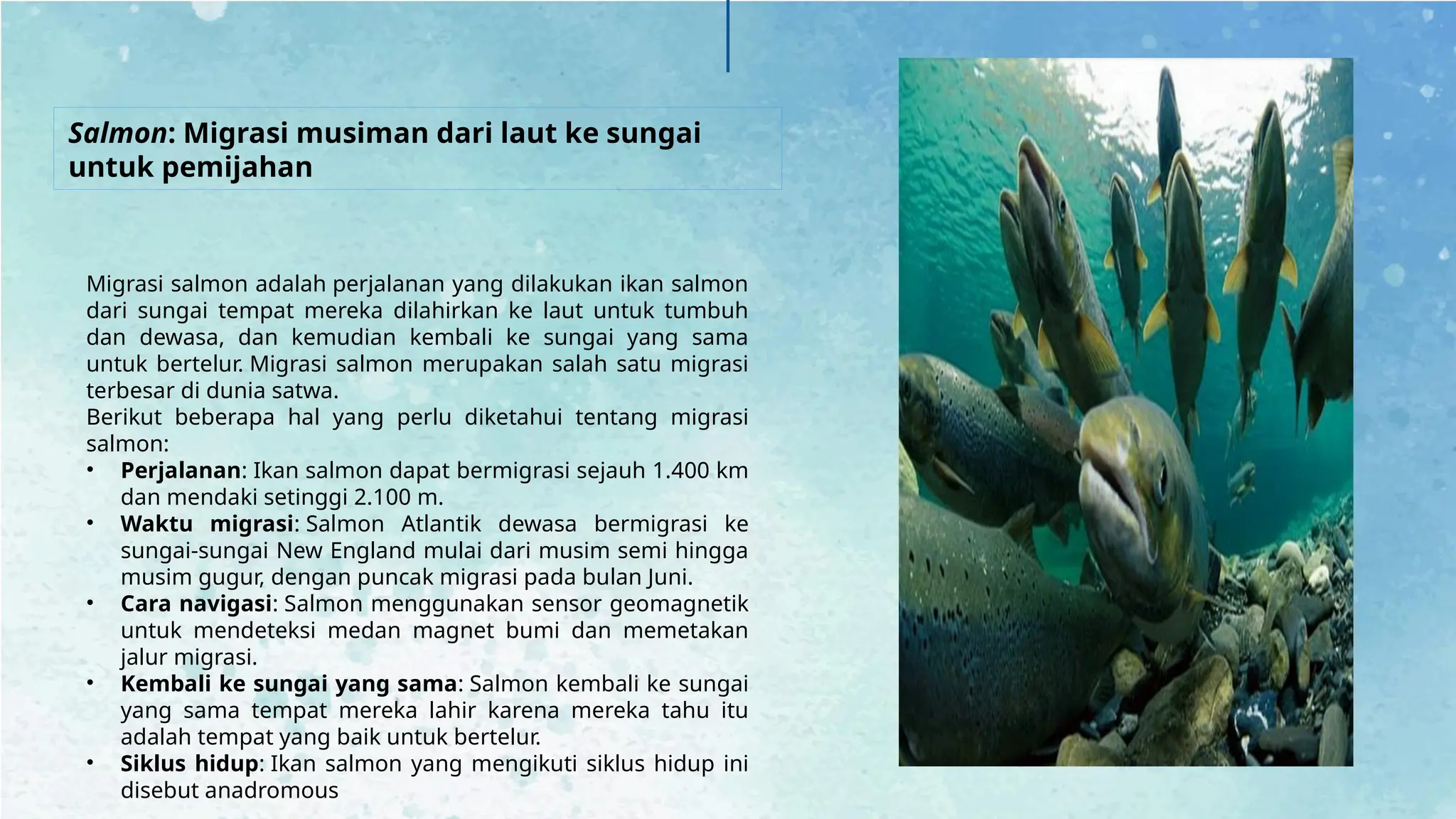 MK TEKNOLOGI PENANGKAPAN IKAN KELOMPOK 1.pptx
