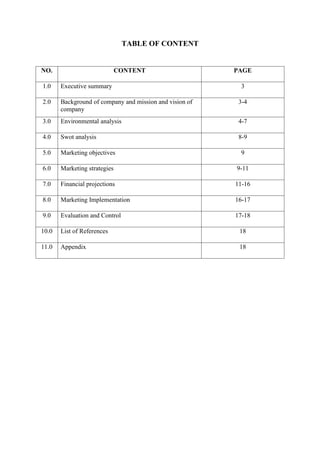 MKTG 3010 Marketing Principles Marketing Plan | PDF