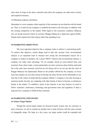 MKTG 3010 Marketing Principles Marketing Plan | PDF